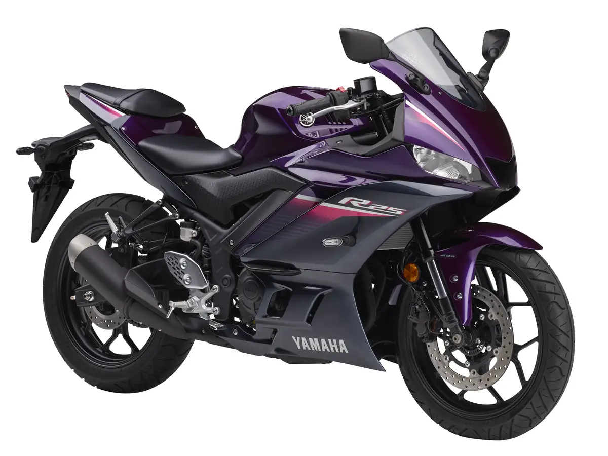 Yamaha YZF-R25/R3 2025: Evolução Iminente no Horizonte? - The Riders ...